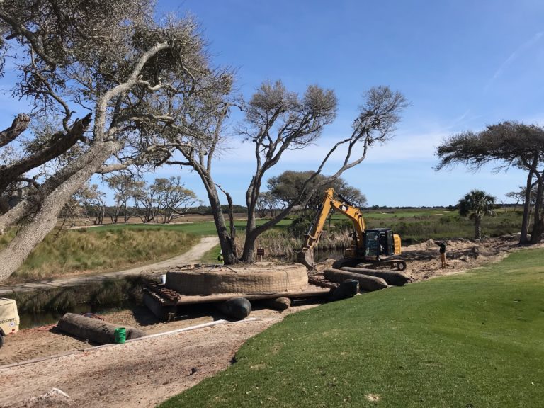 Nationwide Tree Relocation Services | Environmental Design Inc. | Large ...